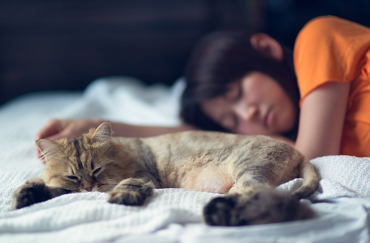 What your pet’s sleeping position says about how they feel about you ...