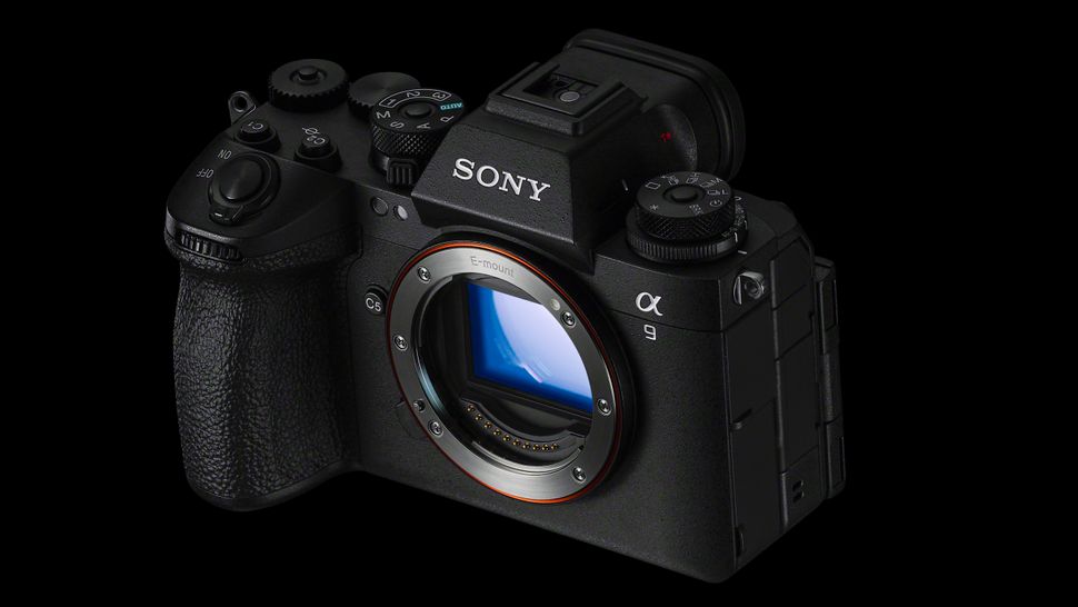 Sony in 2023: from a compact vlogging cam to the most advanced camera ...