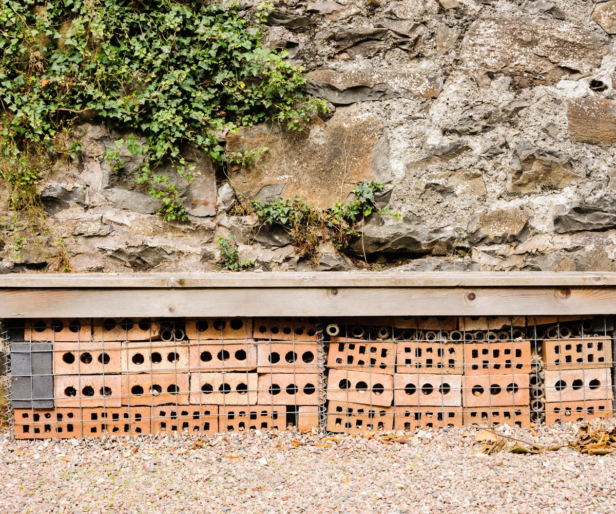 Types of brick: Colours, uses, costs and more | Homebuilding