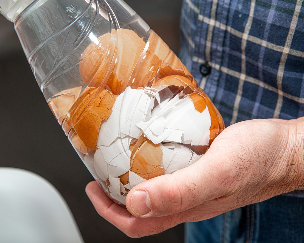 DIY Liquid Fertilizer For Plants – 5 Powerful Tonics To Make ...