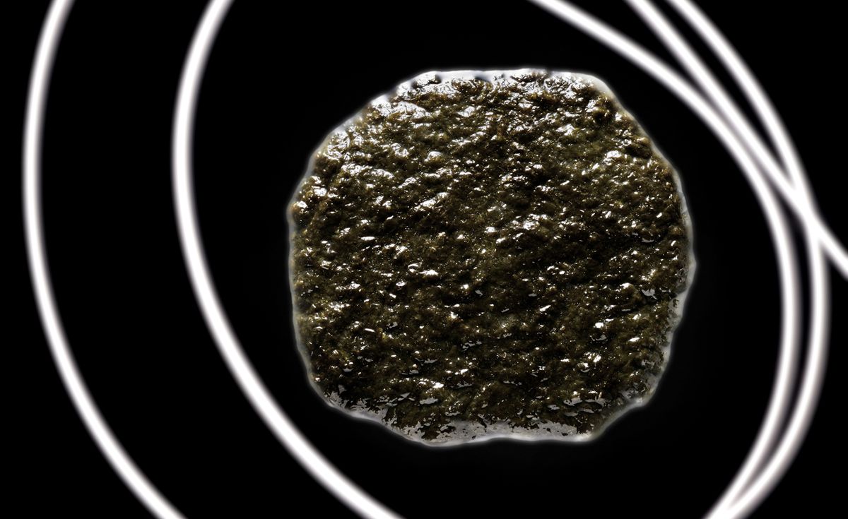 Artiist's Palate: Cerith Wyn Evans’ recipe for Laverbread | Wallpaper*