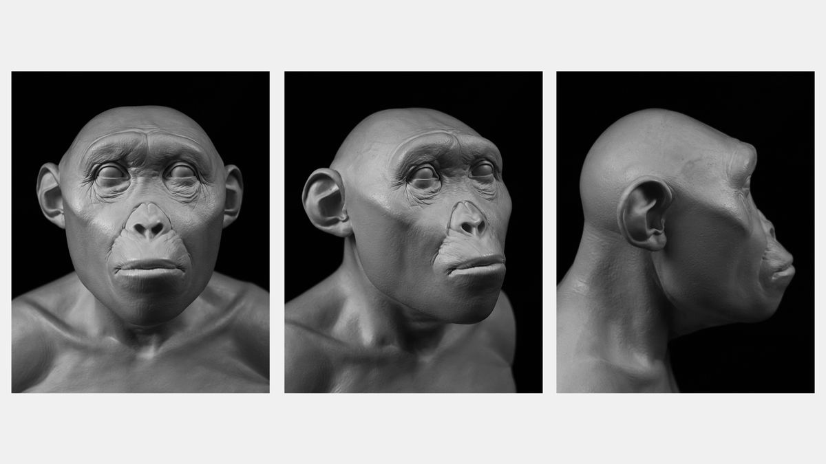 Human ancestor 'Lucy' gets a new face in stunning reconstruction | Live ...