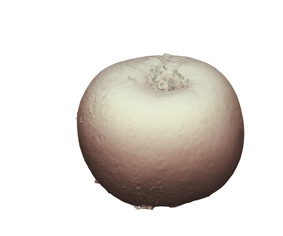 I used the Epic Games Reality Scan app to make my first 3D model – and ...