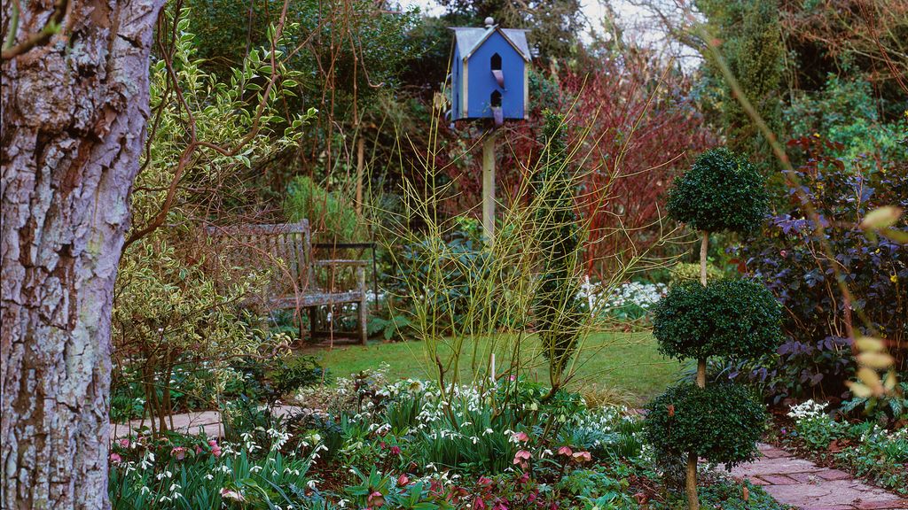 Planning a winter garden: expert planting and design tips | Homes and ...