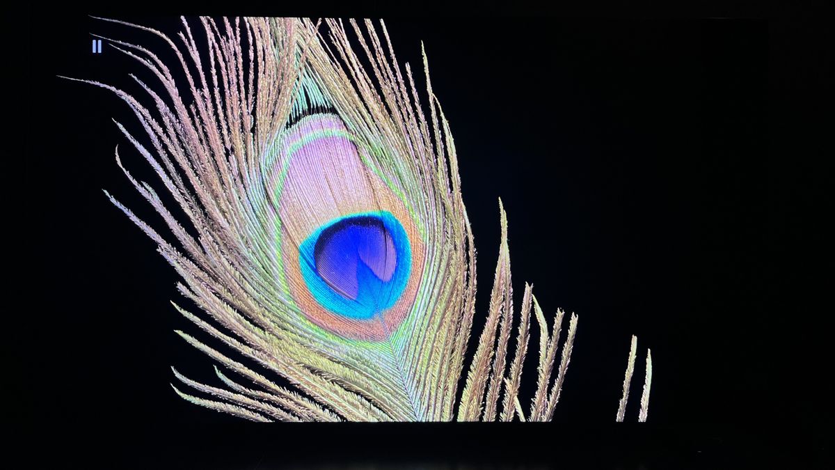 Hands on: TCL QM851G review – the brightest mini-LED TV yet | TechRadar