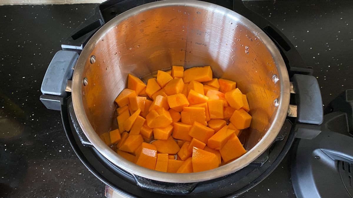 Instant Pot Pro Plus Smart Multi-Cooker review | TechRadar