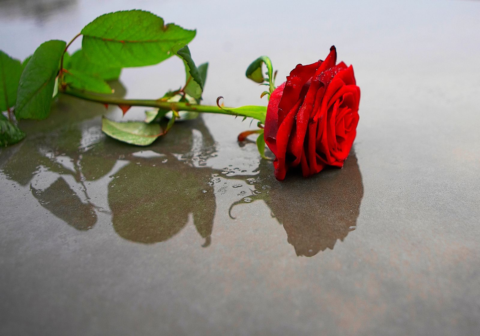 Six New RMD Rules You Don't Want to Miss in 2025 | Kiplinger