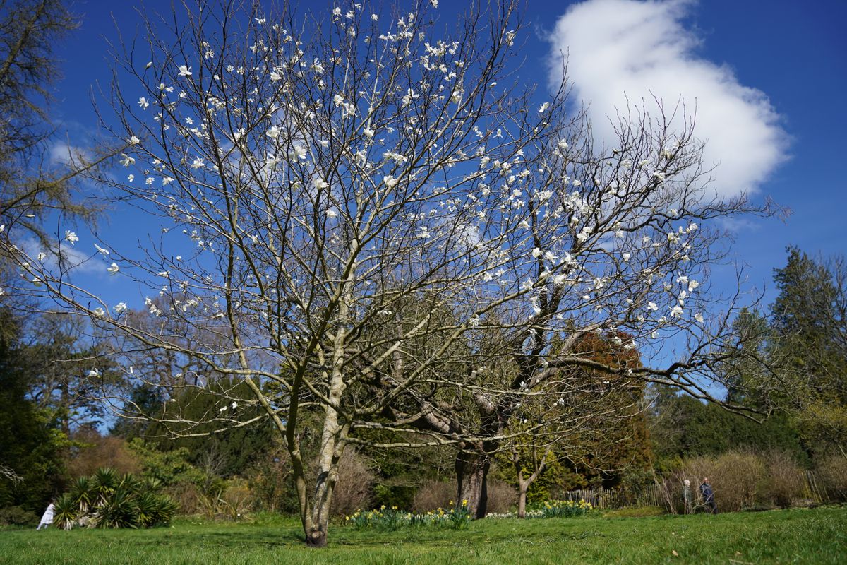 Sony A7 III review | Digital Camera World