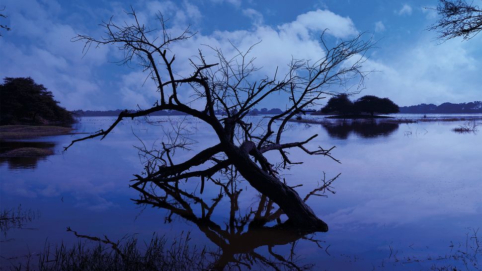 5-minute photo tips: Use Auto HDR and save your exposure struggles ...