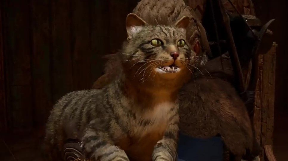Yes, you can pet the hefty Viking cats in Assassin's Creed Valhalla ...