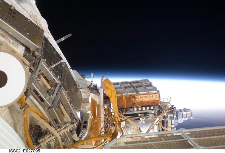 Seeds in Space — How Well Can They Survive Harsh, Non-Earth Conditions ...