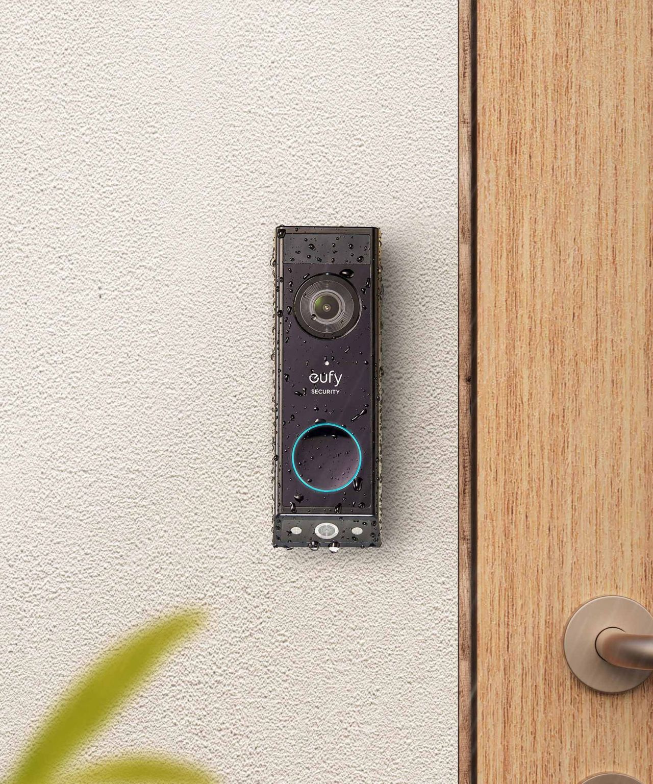 eufy vs. ring: I've tried both and eufy comes out on top | Homes and ...