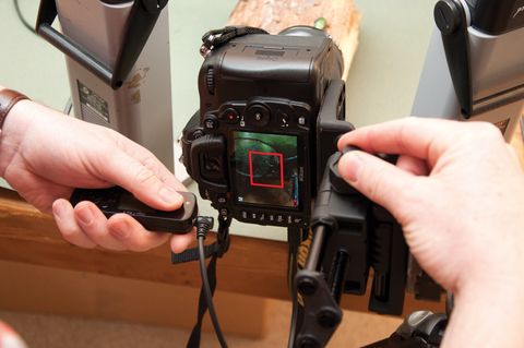 Focus stacking: how to get amazing depth of field in macro photography ...