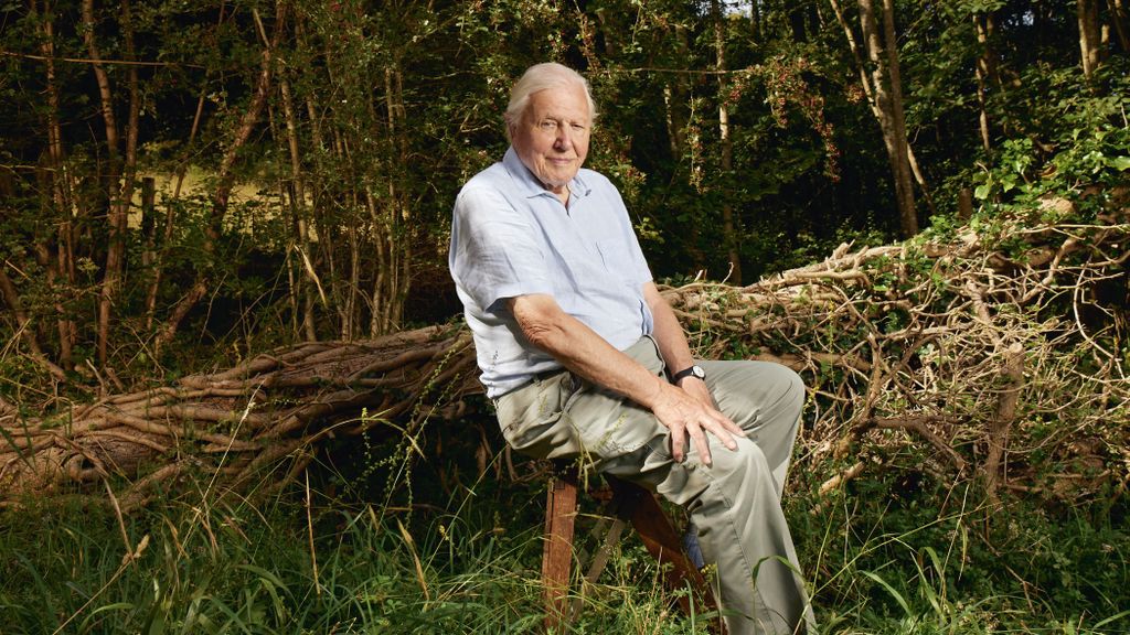 Planet Earth 3: release date, trailer and all we know | What to Watch