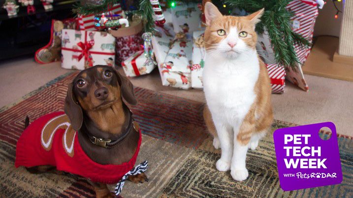 Pet Tech Week day seven: Christmas gifts for pets | PetsRadar