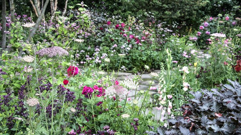 Bulbs for shade: 6 blooms for brightening darker corners | Homes and ...