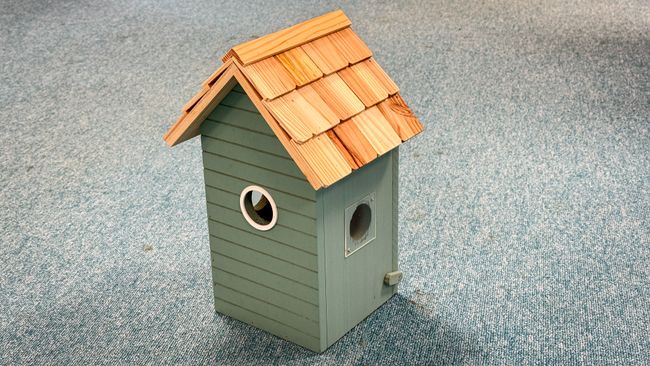 The best bird box camera | Digital Camera World