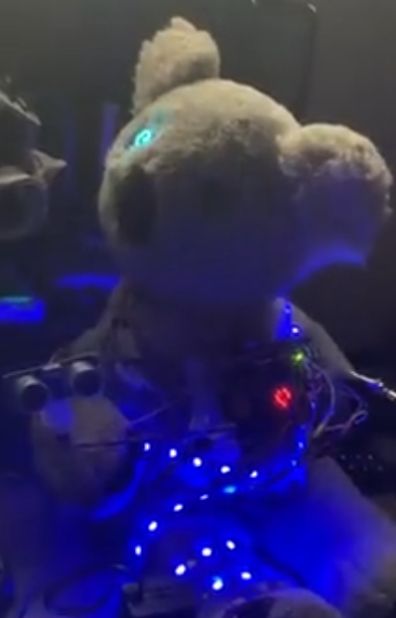 Raspberry Pi powers creepy one-eyed, head-swiveling stuffed koala ...