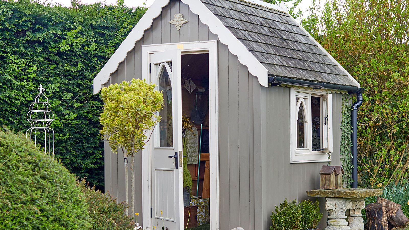 5 ways to make a shed bird-friendly to attract birds to a garden ...