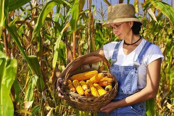 Growing Appalachia, and a Better Food System for America (Op-Ed) | Live ...