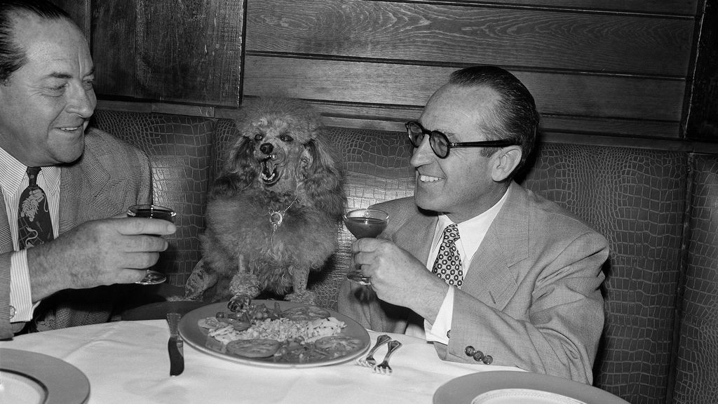 32 of the most famous dogs | PetsRadar