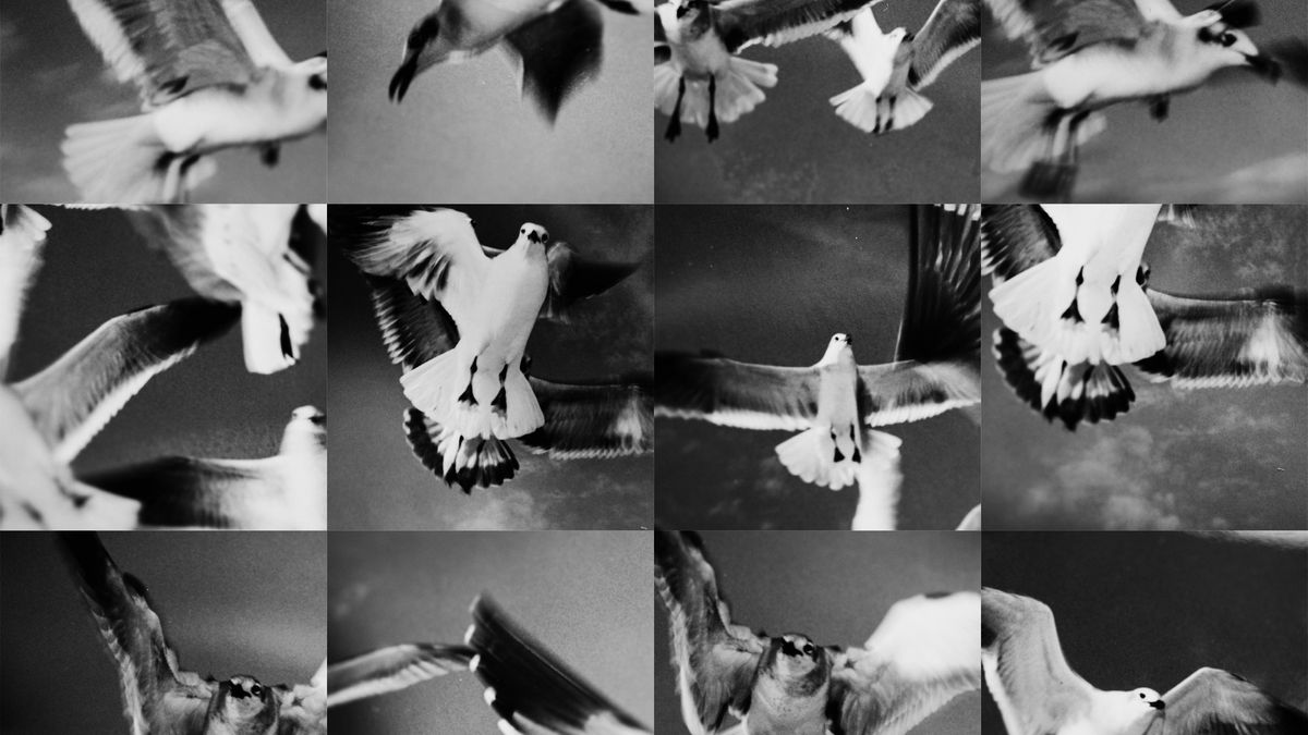 The art of seeing #21: When still images start moving | Digital Camera ...