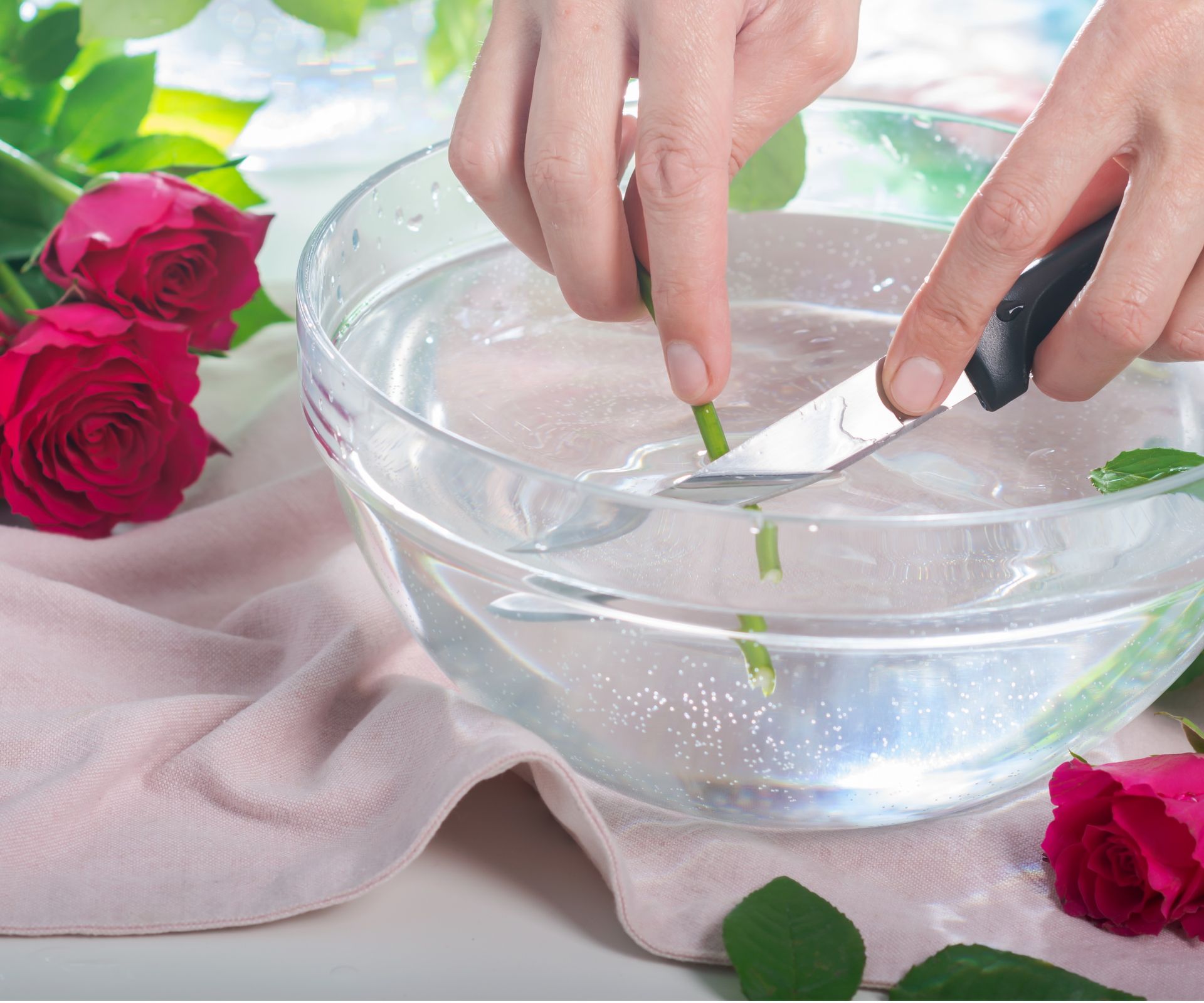 How to root rose cuttings in water: An expert guide | Homes and Gardens