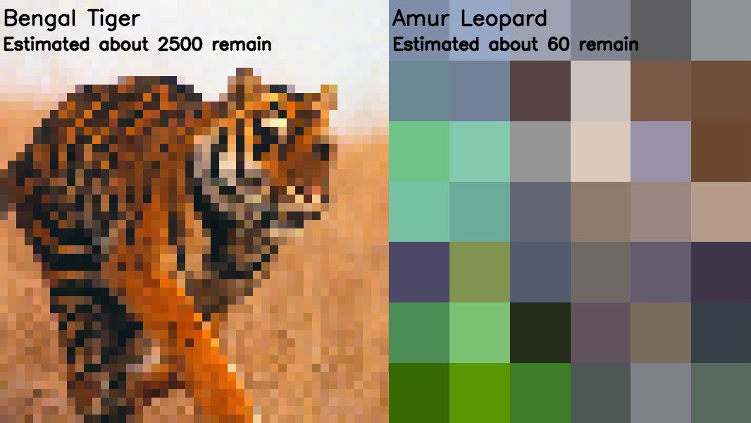 Endangered animal populations represented by pixels in shocking series ...