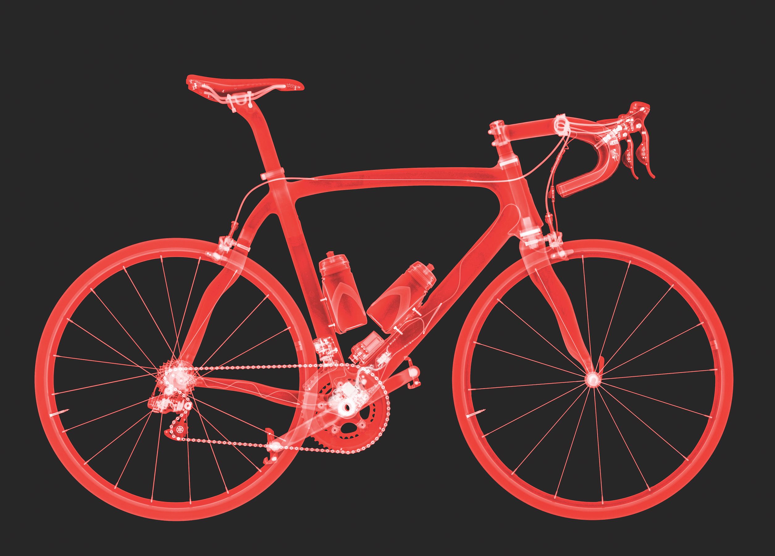 'Getting away with it is shockingly easy': Five reasons why motor ...