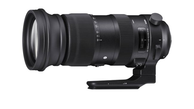 The best 150-600mm lenses in 2025 | Digital Camera World