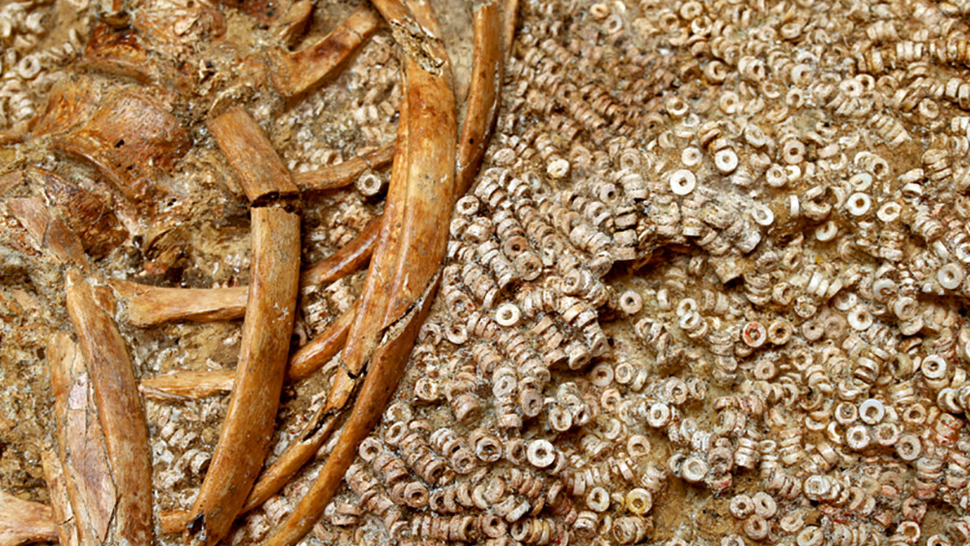 World's largest-ever bead stash found in 5,000-year-old 'Ivory Lady ...