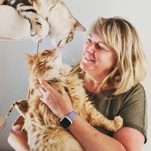 How to keep the peace in a multi-cat household | PetsRadar