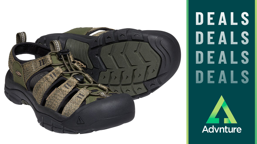 What is the treeline? And why is it important? | Advnture