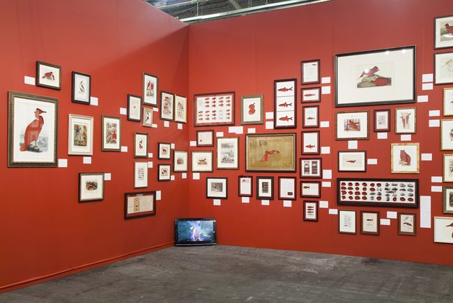 The Brutal Art of Extinction | Live Science