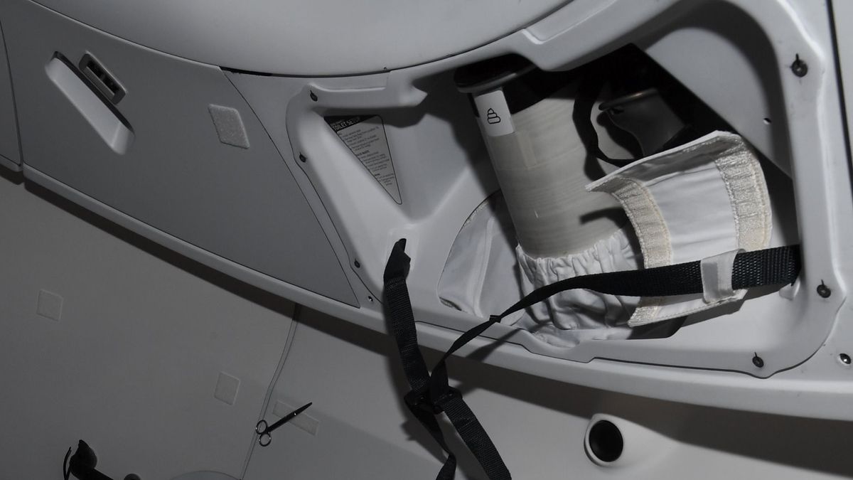 The private Inspiration4 astronauts on SpaceX's Dragon may have an epic ...