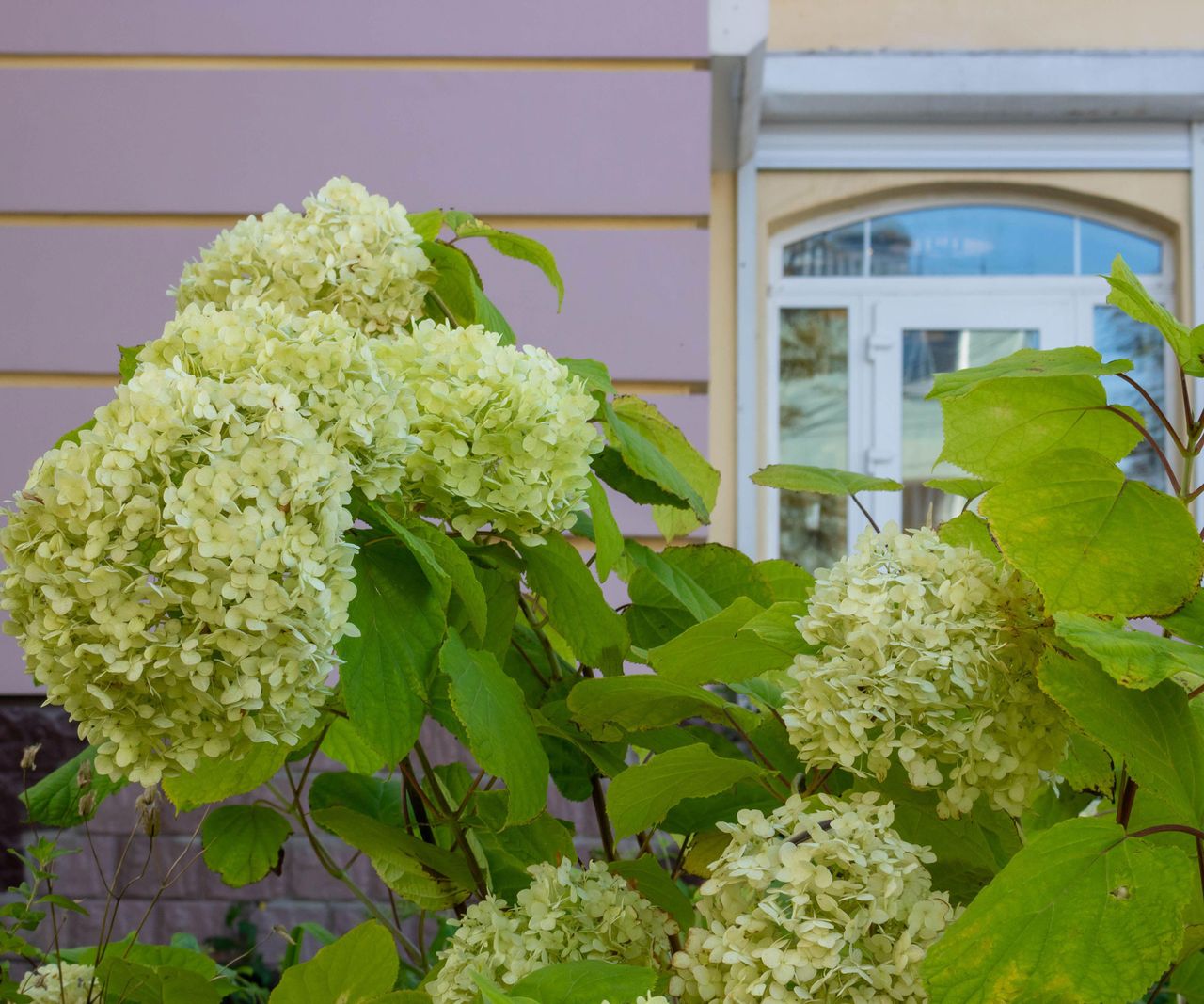 US hardiness zone 3 explained: expert planting advice | Homes and Gardens