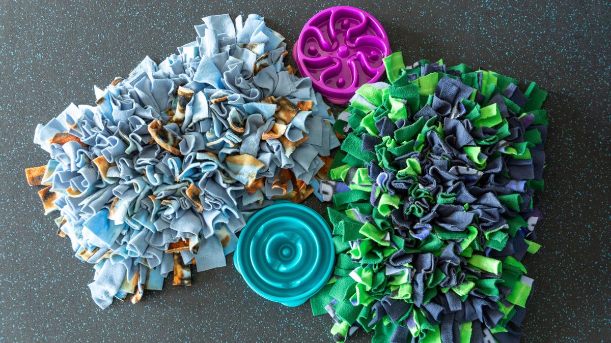 32 ways to build more fun into your cat's routine | PetsRadar