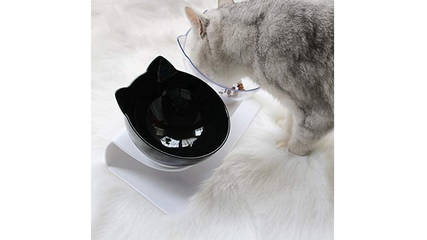 Best anti-vomit bowls for cats: Keep mealtime mess-free | PetsRadar