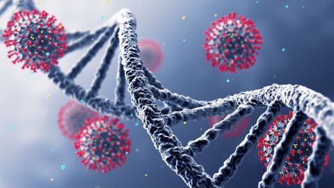 Going Viral: 6 New Findings about Viruses | Live Science