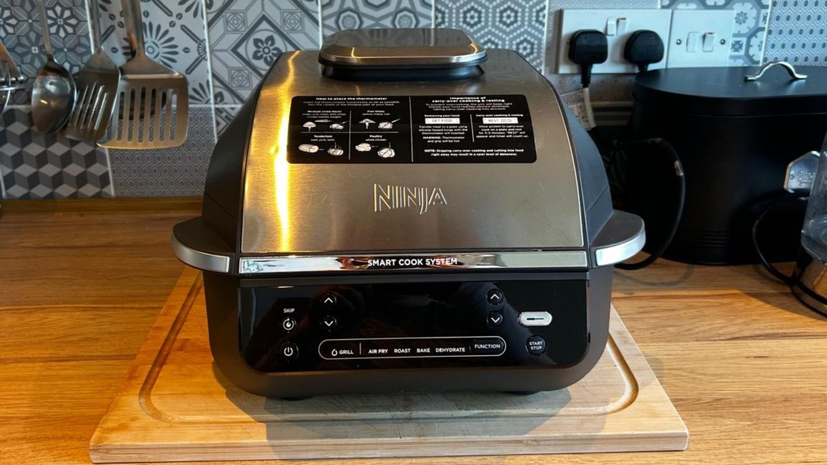 The Ninja 5-in-1 Grill and Air Fryer review: perfect kitchen BBQ, but ...