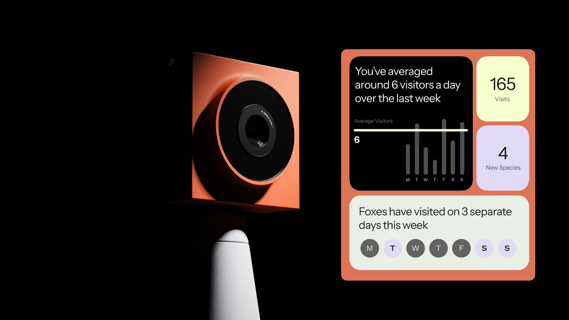 This tiny camera ignores people to track just backyard wildlife – and ...