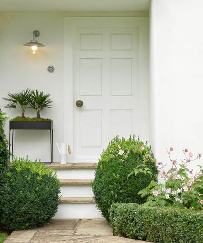 Best front door plants: 10 beautiful choices | Homes and Gardens