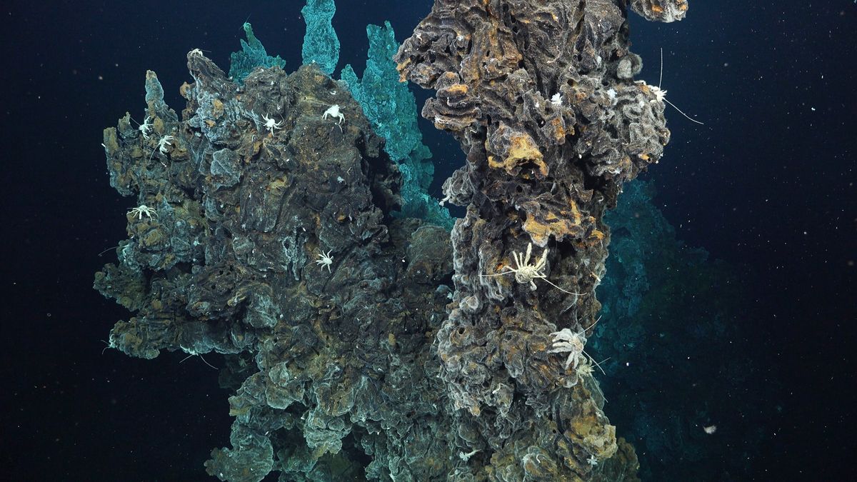Enormous hydrothermal vent field with ancient, 50-foot tall chimneys ...