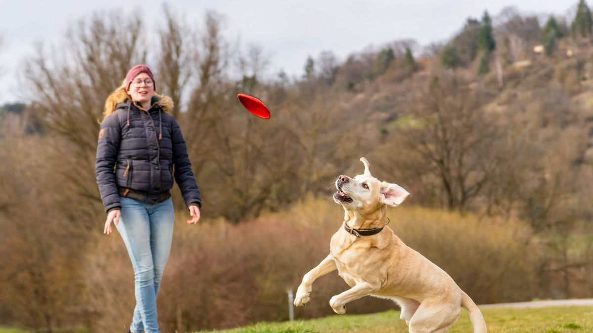 32 ways to workout with your pet | PetsRadar