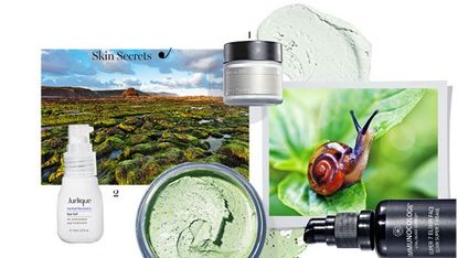 10 Skin Secrets from the Ancient World - Ancient Ingredients for New ...