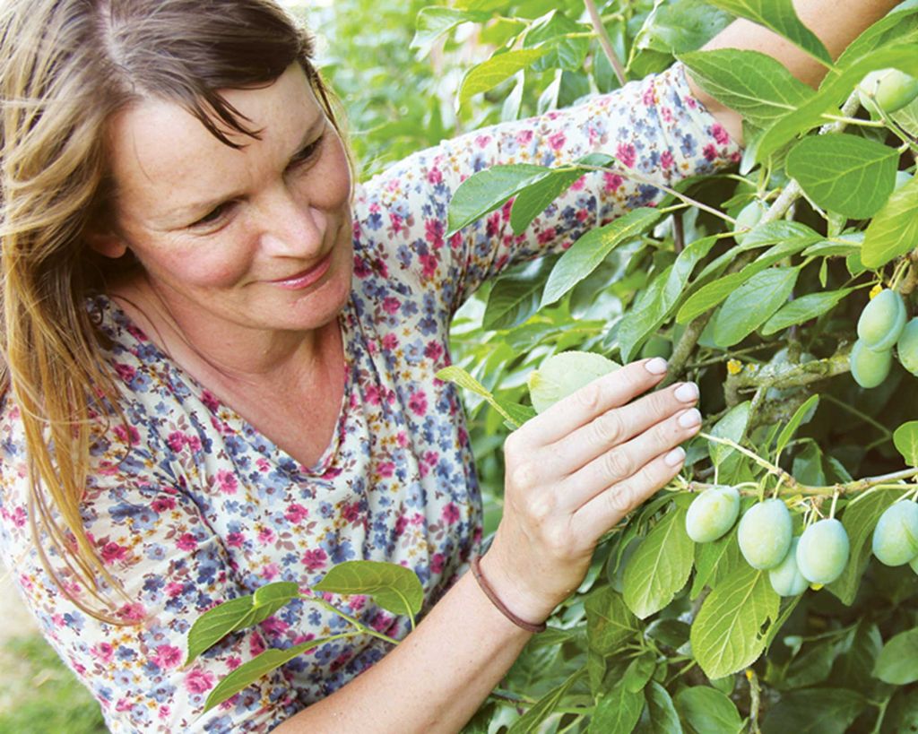 Vegetables to plant in August: top 10 crops to sow and grow | GardeningEtc