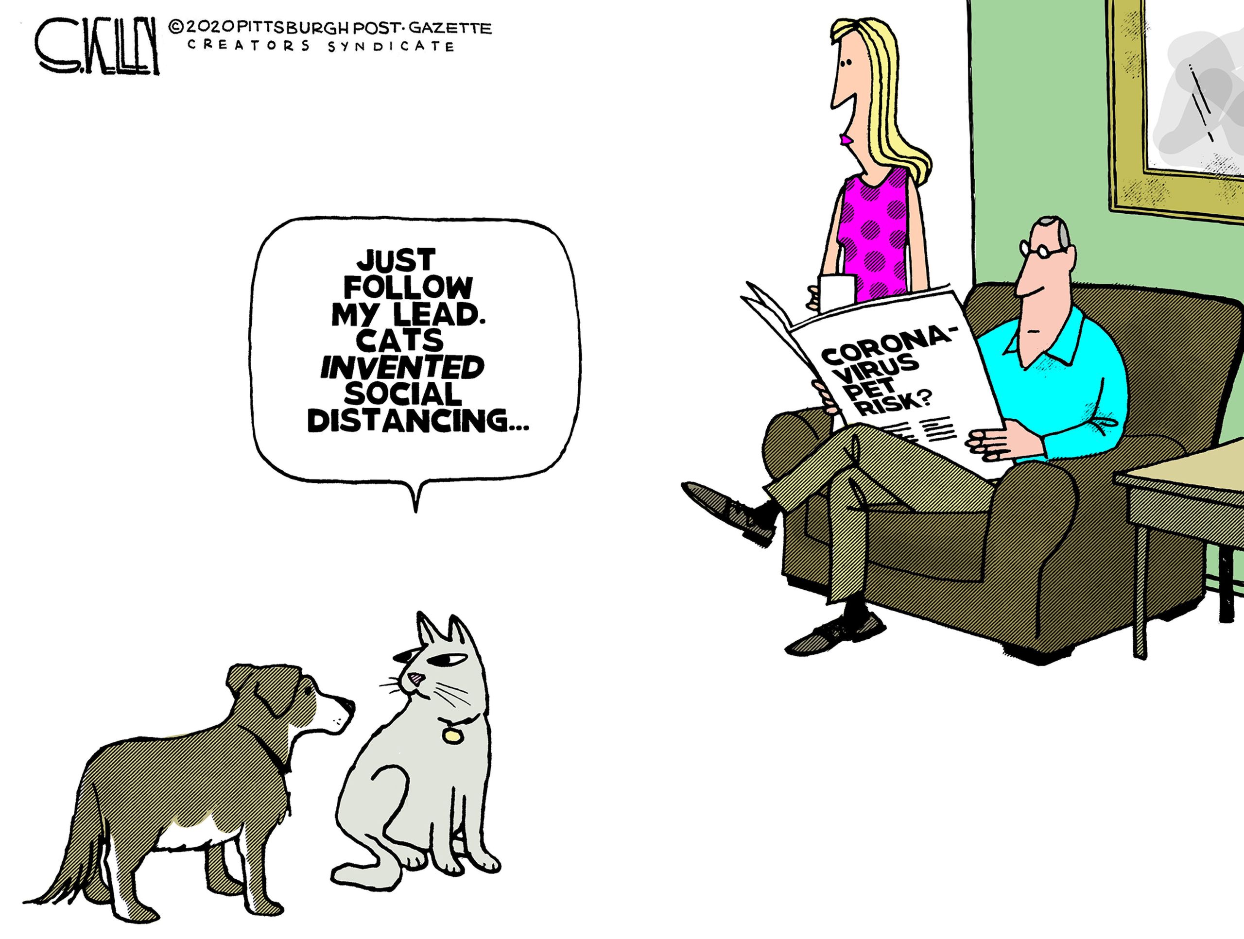 Editorial Cartoon U.S. Coronavirus COVID-19 cats dogs social distancing ...