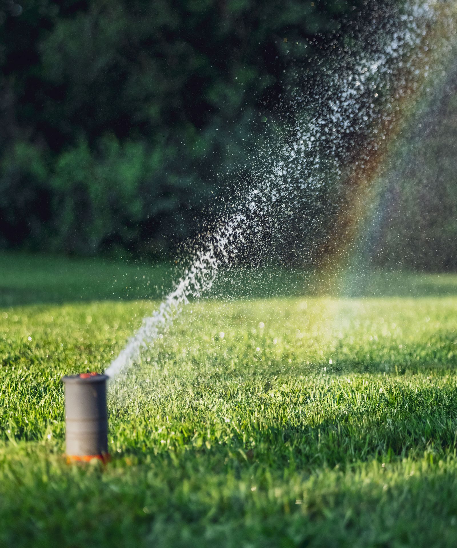 Can you fertilize in the rain? Lawn experts share their tips | Homes ...