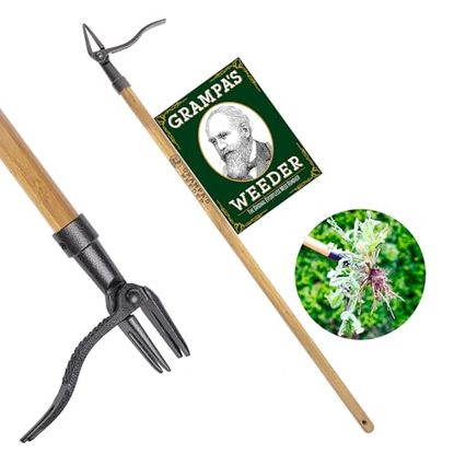 Weeder types explained – pros explore all 10 types of tool | Homes and ...