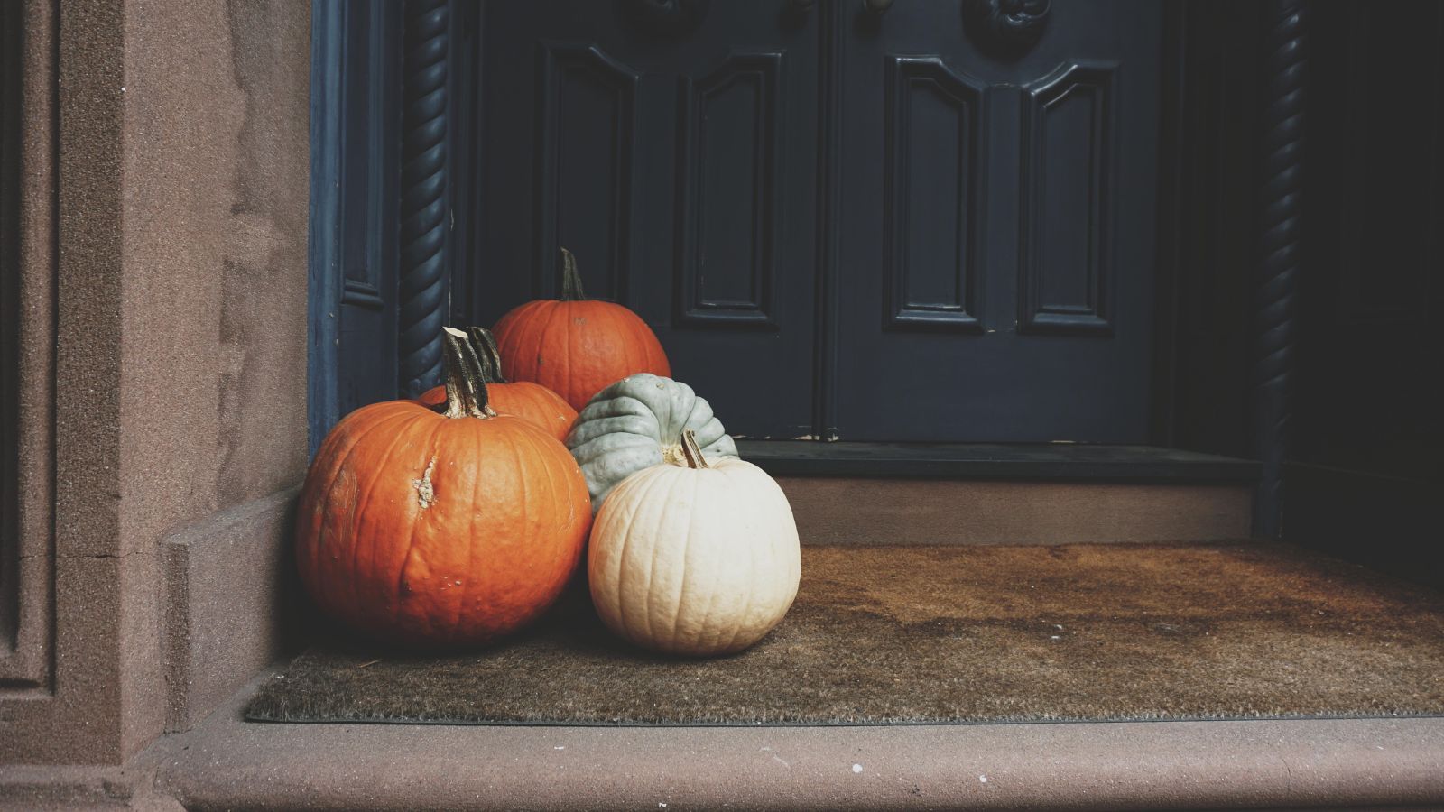 How to stop pumpkins from rotting with simple solutions | Homes and Gardens